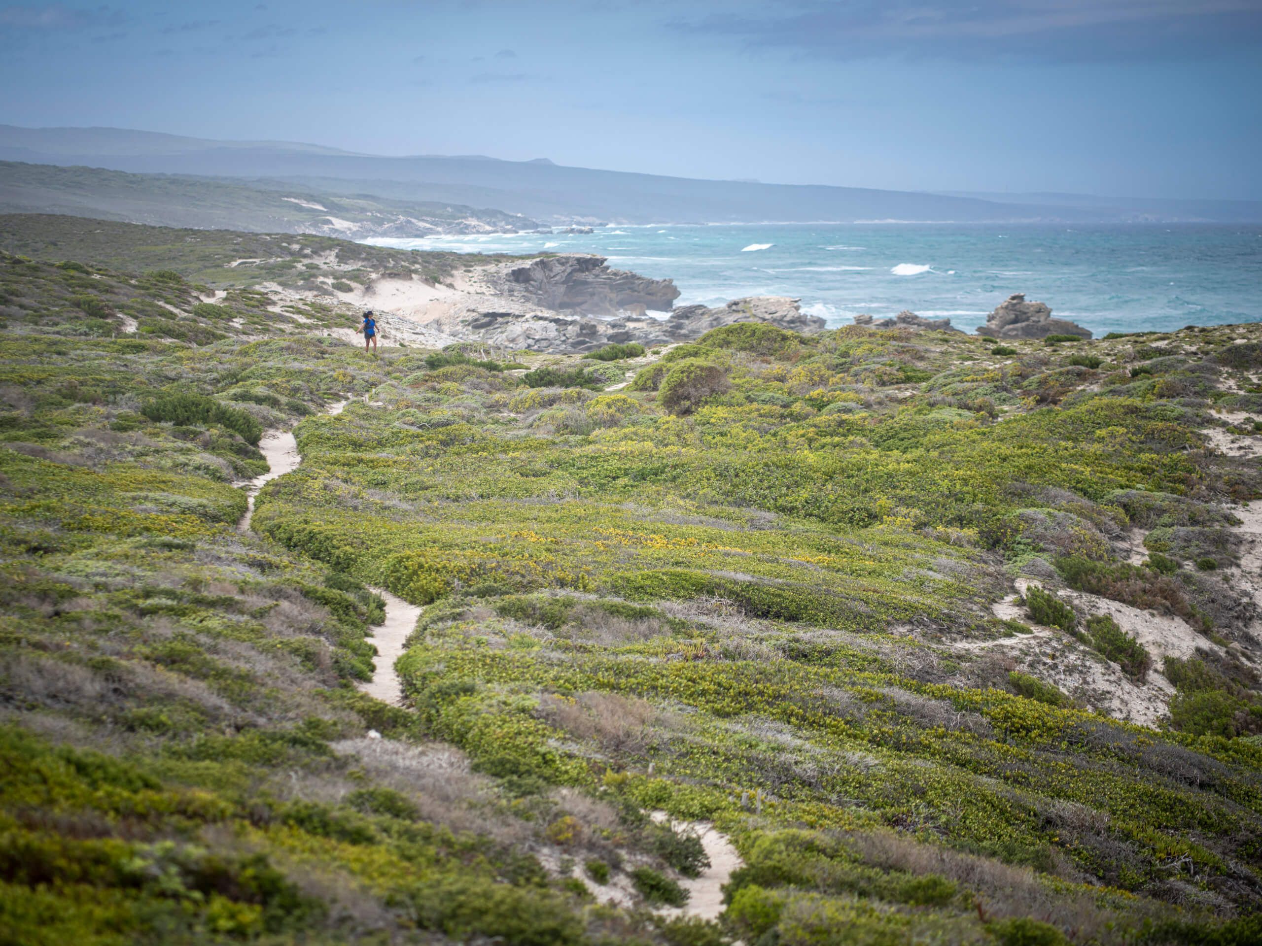 Cape Town & De Hoop Comfort Hiking Tour | 10Adventures