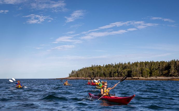 Bay of Fundy Sea Kayaking Tour | 2026 Pricing