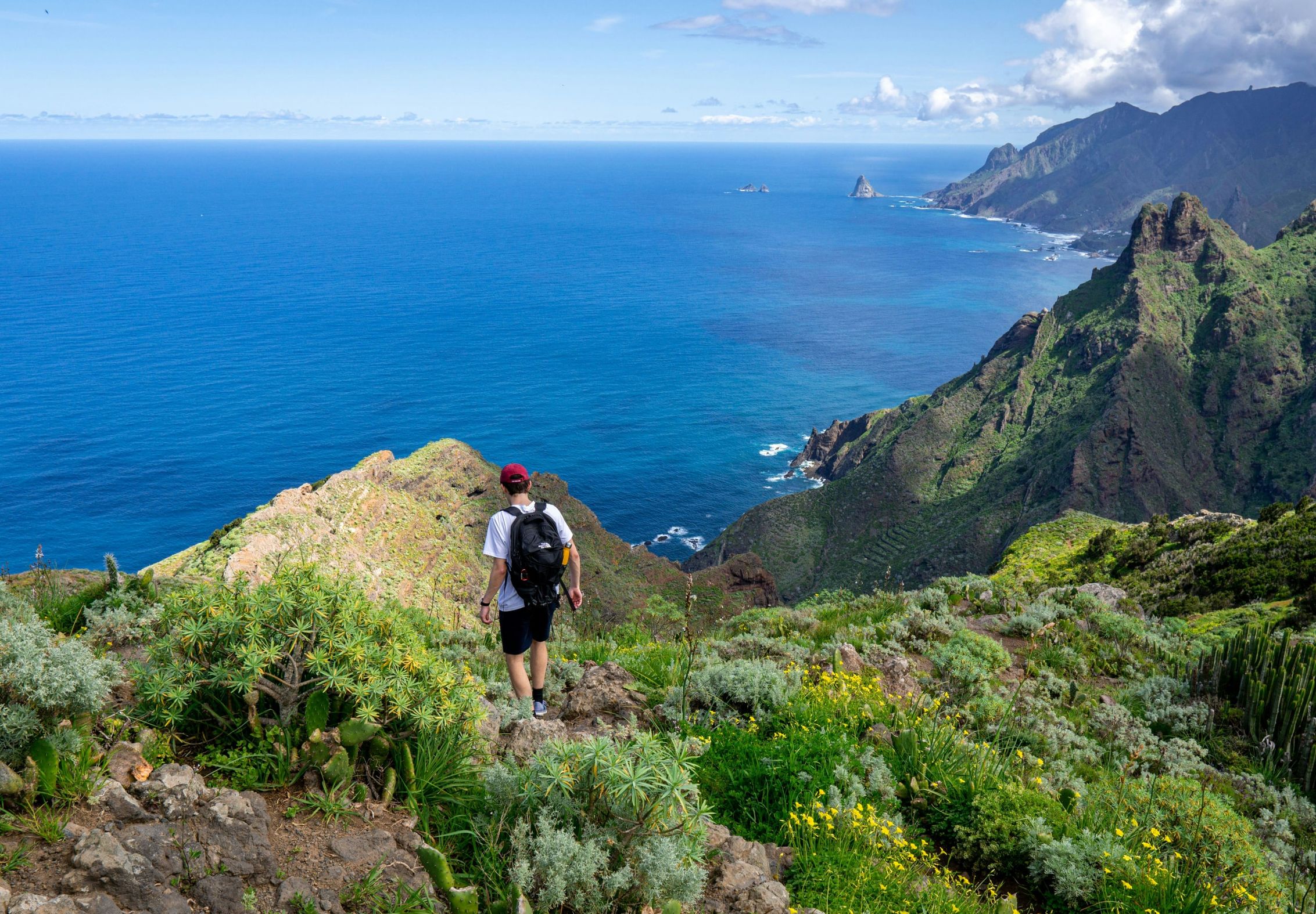 Tenerife Hiking Tour