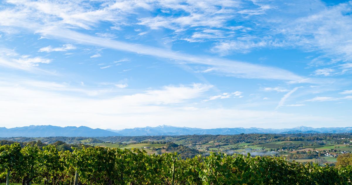 Southwest France & Pyrenees Road Bike Tour