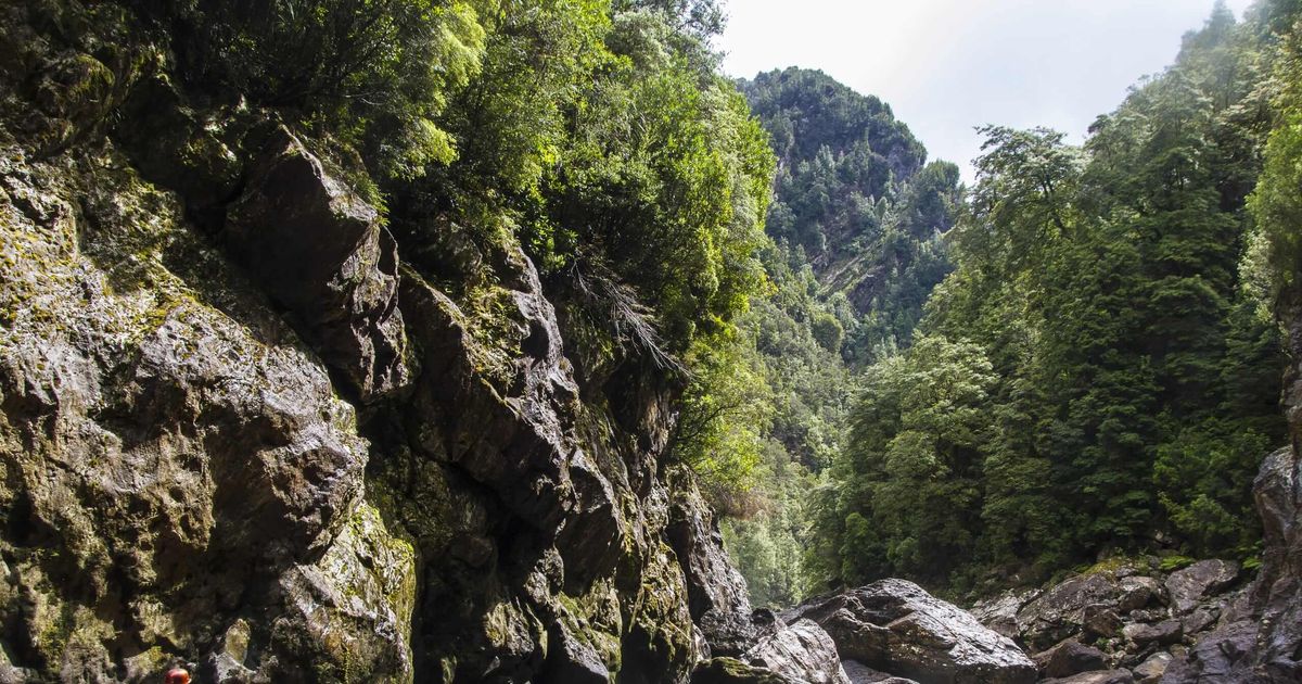 9-Day Franklin River Rafting Tour (Australia)