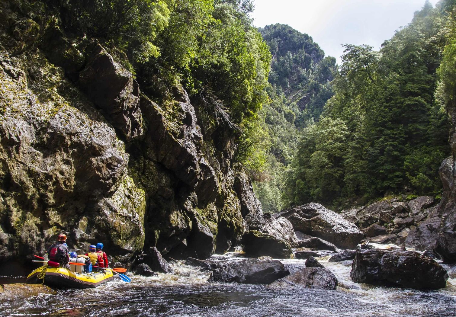 9-Day Franklin River Rafting Tour (Australia)