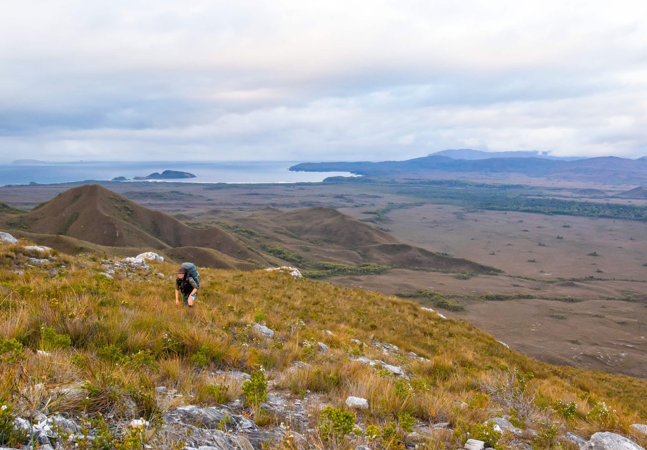 Sout Coast Track Trek (Australia)