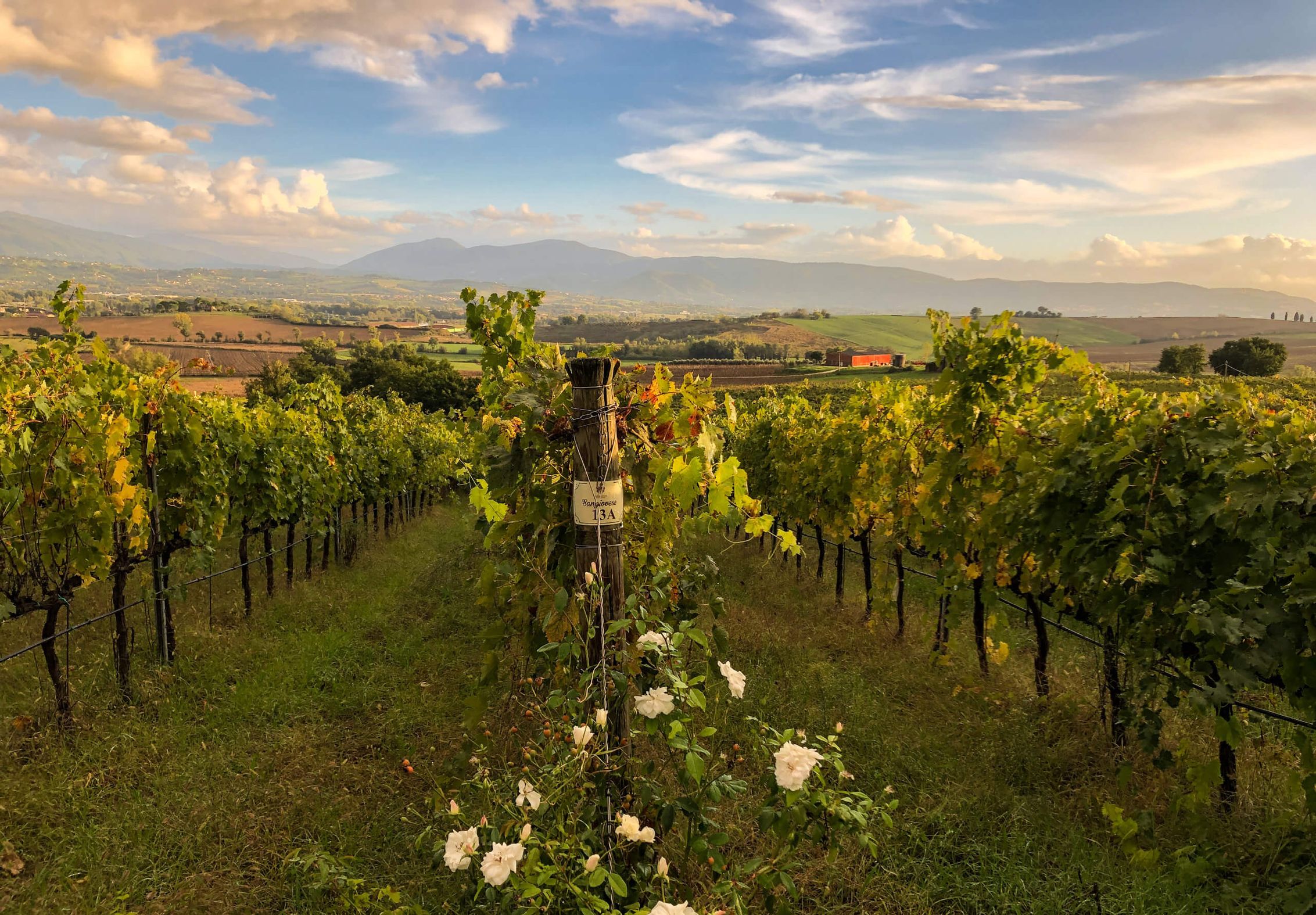 Walking Tour of Umbria - Explore Italy’s Green Heart