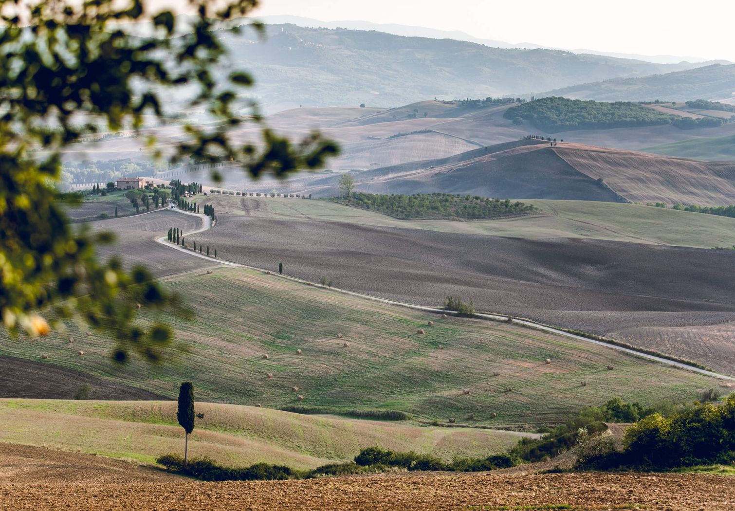 Via Francigena 7: Siena to Montefiascone Walk