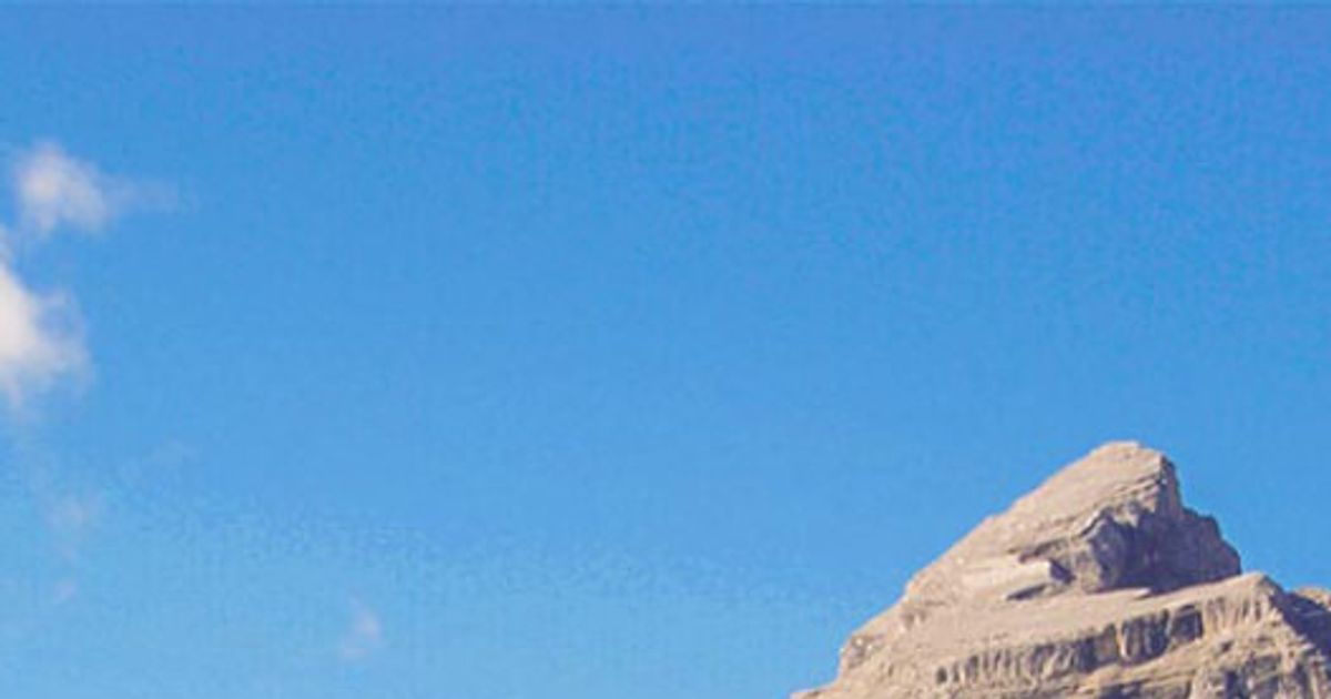 Explore the World With Loved Ones on Exciting Family Tours