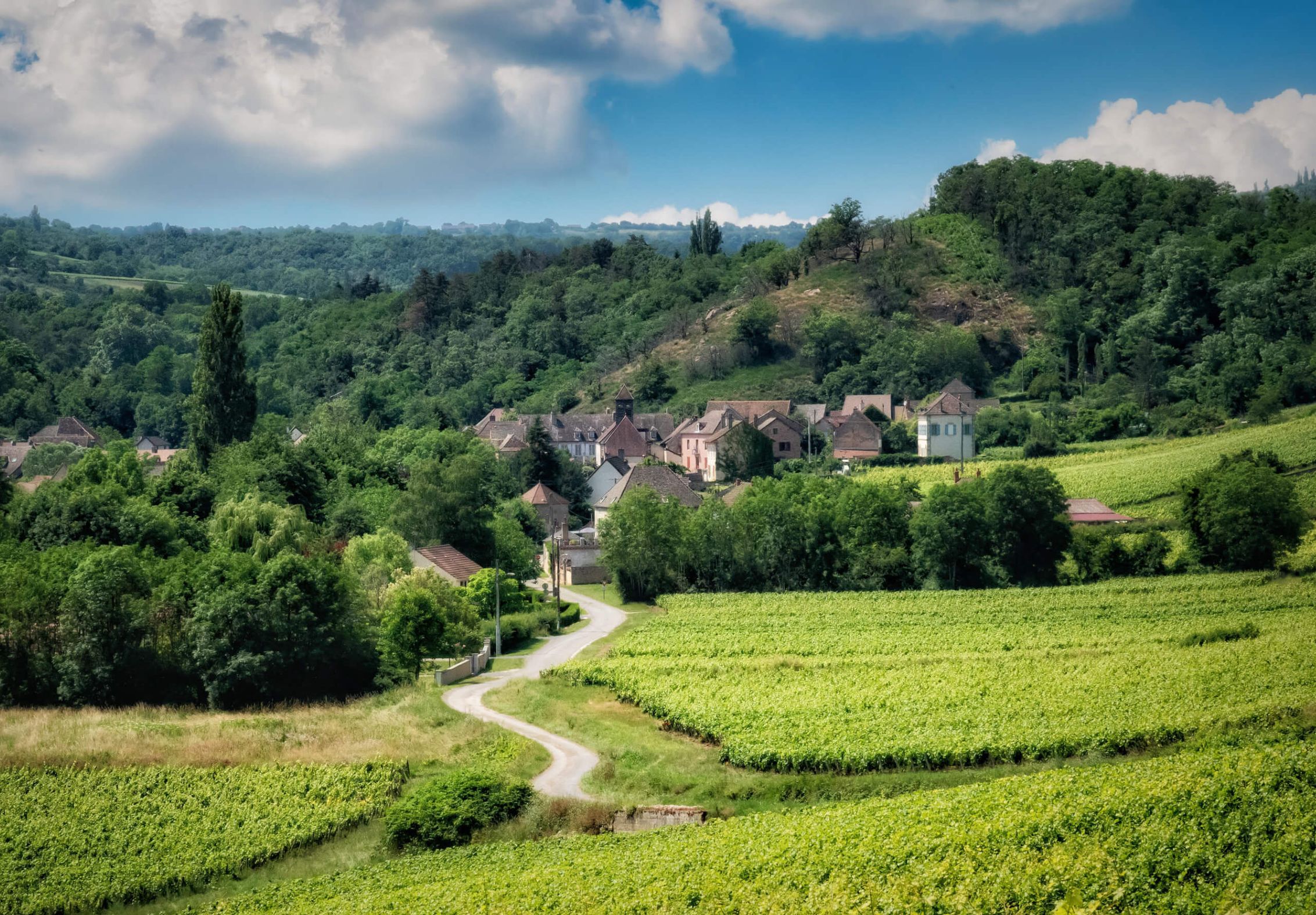 Burgundy Vineyards & Trails Self-Guided Wine Hiking Tour | 2026 Dates ...